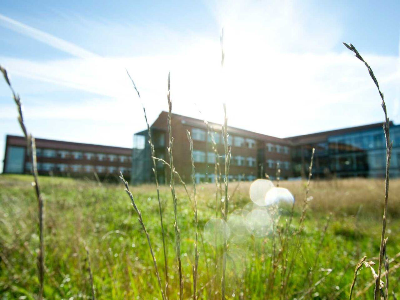 twoday | Digitale løsninger til det private og offentlige